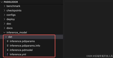 最好用的图文识别ocr paddleocr 4 模型微调 csdn博客