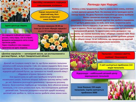 презентація Першоцвіти