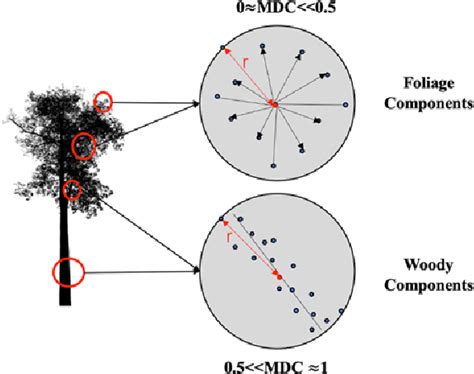 figure 2 from sptnet sparse convolution and transformer network for