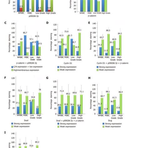 Graphical Representation Of Percent Immunohistochemical Expression Of
