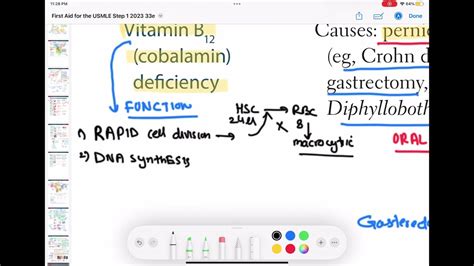 Vitamin B12 Deficiency Lecture 39haematology Firstaidusmle Youtube