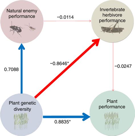 Piecewise Structural Equation Model For The Effects Of Plant Genetic