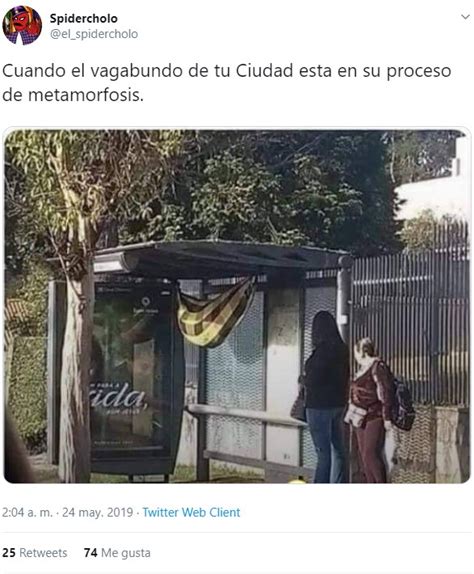 La Vida Se Abre Camino