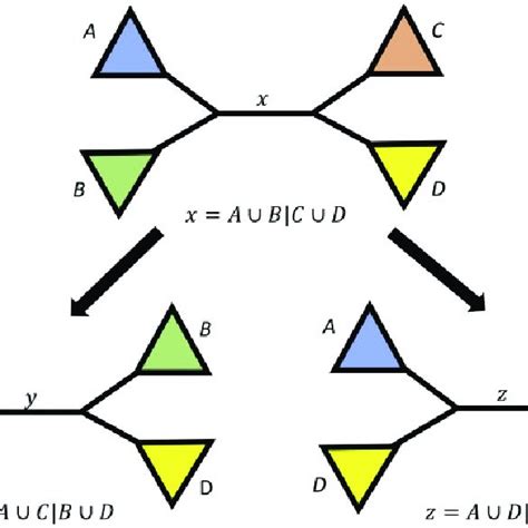 Schematic View Of A Bifurcating Tree At An Internal Branch X With Four Download Scientific