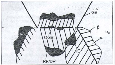 Représentation Schématique De La Dissolution Discontinue [156] Download Scientific Diagram