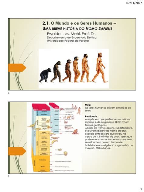 Evolução Do Homo Sapiens Mitos E Verdades Pdf Homo Neanderthal