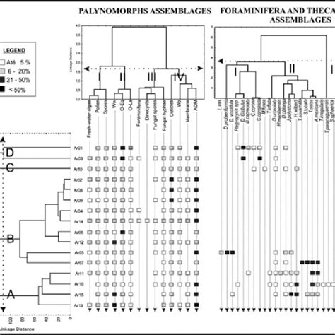 Cluster Analysis Dendrogram In Q Mode And R Mode Download Scientific Diagram