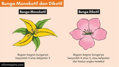 Biologi Arsip Informasainsedu