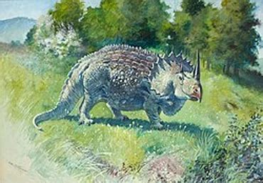 Discuss Everything About Dinopedia Fandom