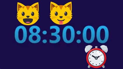 8 Hour 30 Minute Timer No Music With Loud Alarm Timerclockalarm
