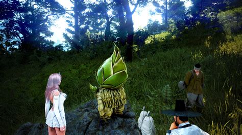 [스크린샷 And 영상] [모험 일기] 아침의나라 방문 스압 및 스포 주의 검은사막 한국