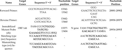 Primers And Probe Sequence Orientation For Recognition Of Sars Cov 2