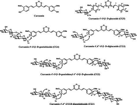 Structures Of Curcumin And Its Glucosylation Products Isolated And