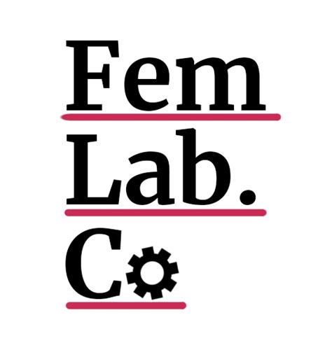 Position As Stakeholder Analyst And Social Media Coordinator For Femlab