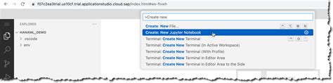 Persisting Python Environment When Using Jupyter N SAP Community
