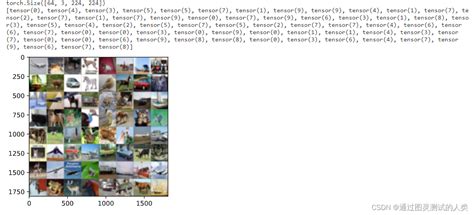 【resnet】pytorch从零构建resnet50pytorch Resnet50 Csdn博客