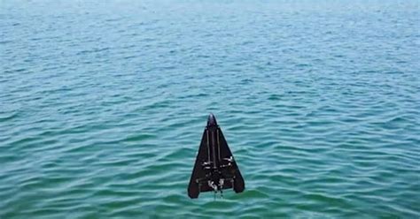 하늘 날다가 물속으로 풍덩‘이상한 드론이 나타났다