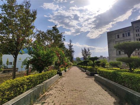 Mohd Naved Ul Haq On Linkedin Healthy Wether Glocal University