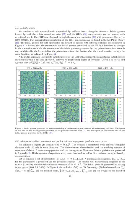 A Globally Convergent Modified Newton Method For The Direct Minimization Of The Ohta Kawasaki