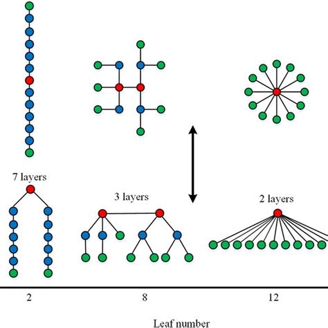 The Topology And Hierarchy Of Minimum Spanning Tree For Illustration