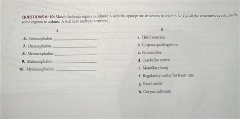 solved questions 6 10 match the brain region in column a