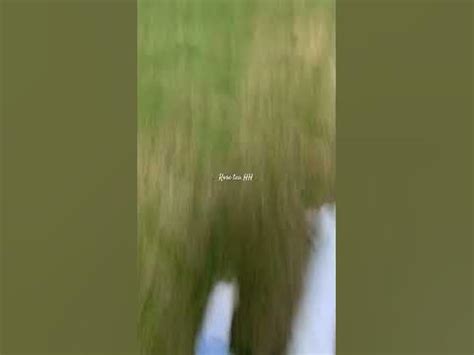 I’d wanna be next to you ️ ️ - YouTube