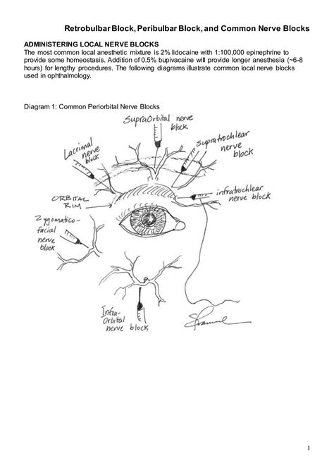 Retrobulbar Block Doc First Aid Injuries Retrobulbar Block Doc First Aid Injuries