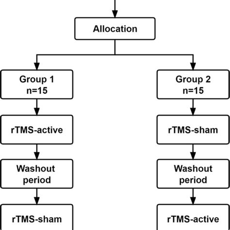 Spirit Figure Description Of The Rtms Study Protocol 1 Demographic