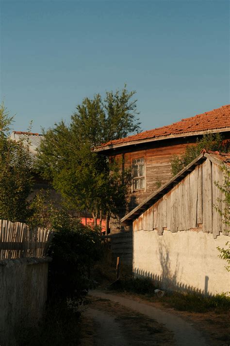 Cheemayhdwallpapers Photos Download The Best Free Cheemayhd