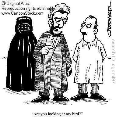 Alien In The Caribbean Sex On The Brain The Elements Of Sex