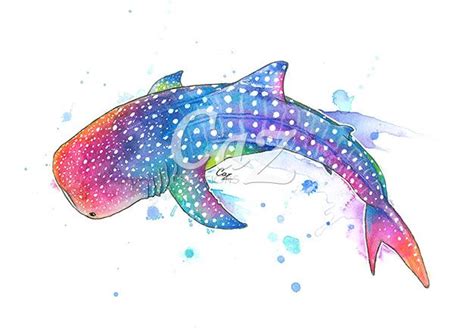 Watercolor Whale Shark At Explore Collection Of