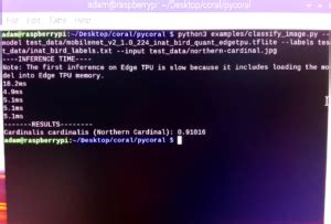 Everything About The Google Coral USB Accelerator PiCockpit