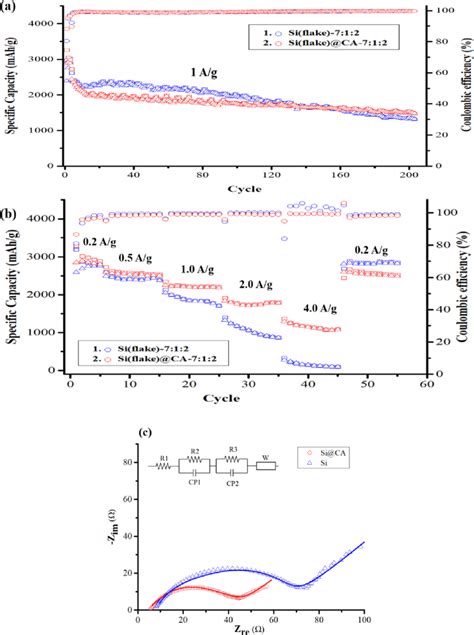 A Specific Capacity Cycling Performance Of Anodes Made Of 1 Blue Download Scientific