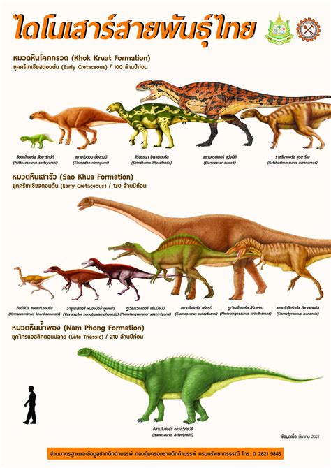 ไดโนเสาร์สายพันธุ์ไทย 12 สายพันธุ์ Amazing Dinosaur เขาค้อ