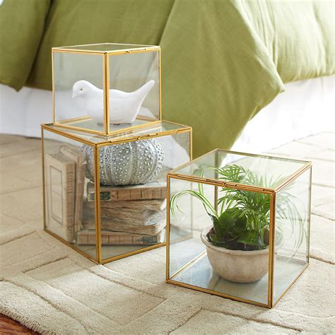 Birch Lane Havana Glass Display Boxes Glass Display Box Decorative