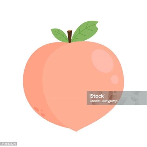 복숭아 만화 벡터입니다 낙서 복숭아 잎 아이콘입니다 흰색 배경에 격리된 심장 모양의 복숭아 과일 농장 자연 식품 신선한 과일 건강한 생활방식에 대한 스톡 벡터 아트 및 기타