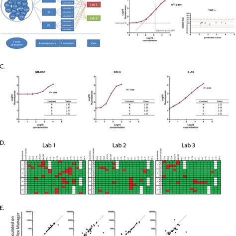Description Of Standard Curves By Logistic Function A A Schematic