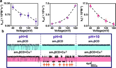 nanopore sensor for copper ion detection using a polyamine decorated β