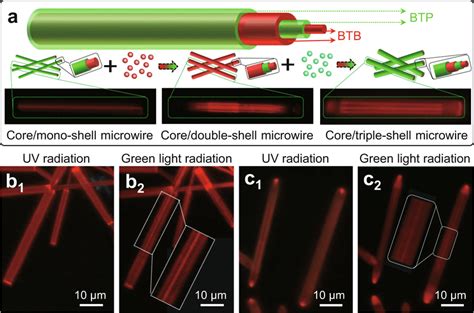 core multi shell organic microwires a the horizontal epitaxial growth