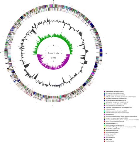 Circle Map Of Strain Tf28 Genome From Outer To Inner Circle Circle 1