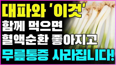 대파와 함께 먹으면 무릎통증 혈행개선에 좋은 음식 2가지와 생활꿀팁 값비싼 영양제 대신 이것 드세요 대파 효능 100 먹는법 보관법 Youtube