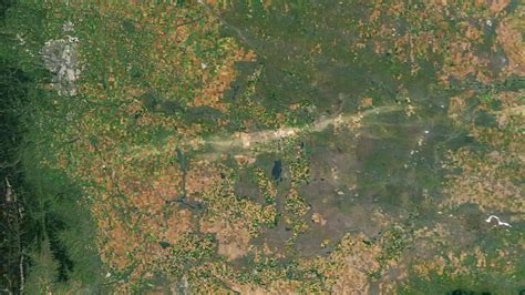 For These Buddhist Monks Sex Ed Starts With Safe Masturbation