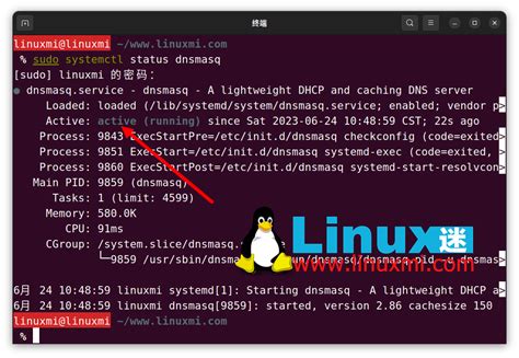 如何在 Linux 上查看和刷新 DNS 缓存 Linux迷