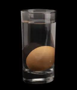 Egg Float Test Myths Procedure Chart Hypothesis Vs Reality