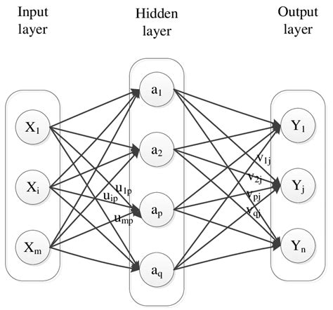 Architectural Of Bp Neural Network Download Scientific Diagram