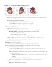 Exam 2 Review Cardiovascular Pdf Exam 2 Review Cardiovascular