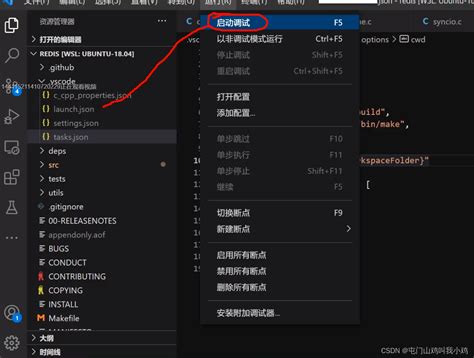 Linux服务器开发redis源码 存储原理与数据模型 Csdn博客