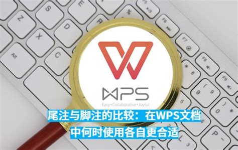 全面指南：wps Office 文档权限设置详解——提升文档安全性的分步操作 Wps官网
