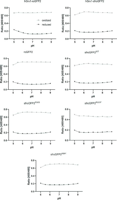 Ph Response Of Different Biosensor Variants Recombinant Sensor Download Scientific Diagram