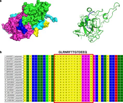 Character Analysis Of The Linear B Cell Epitope Of The Vp2 Protein Download Scientific Diagram